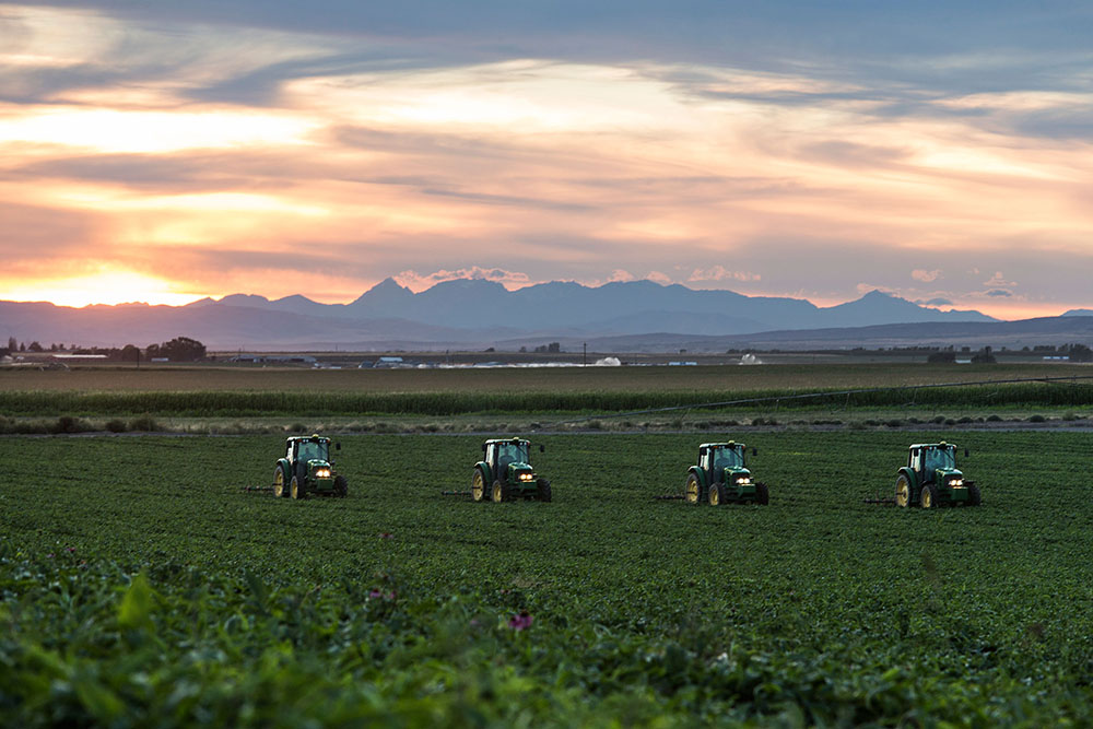 Nutrilite Double X Zoom Background: 5 Warna Fitonutrisi - Nutrilite ...